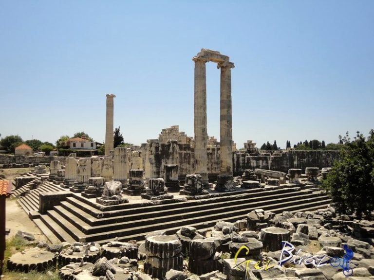 Apollon Tapınağı Didyma - 🏛 - Didim Apollon Tapınak ve Müzesi